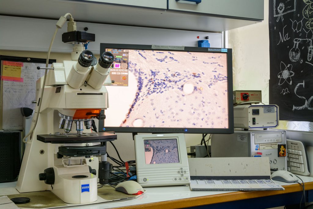 Laboratory of Experimental Neurology and Neuroimmunology | Laboratory ...