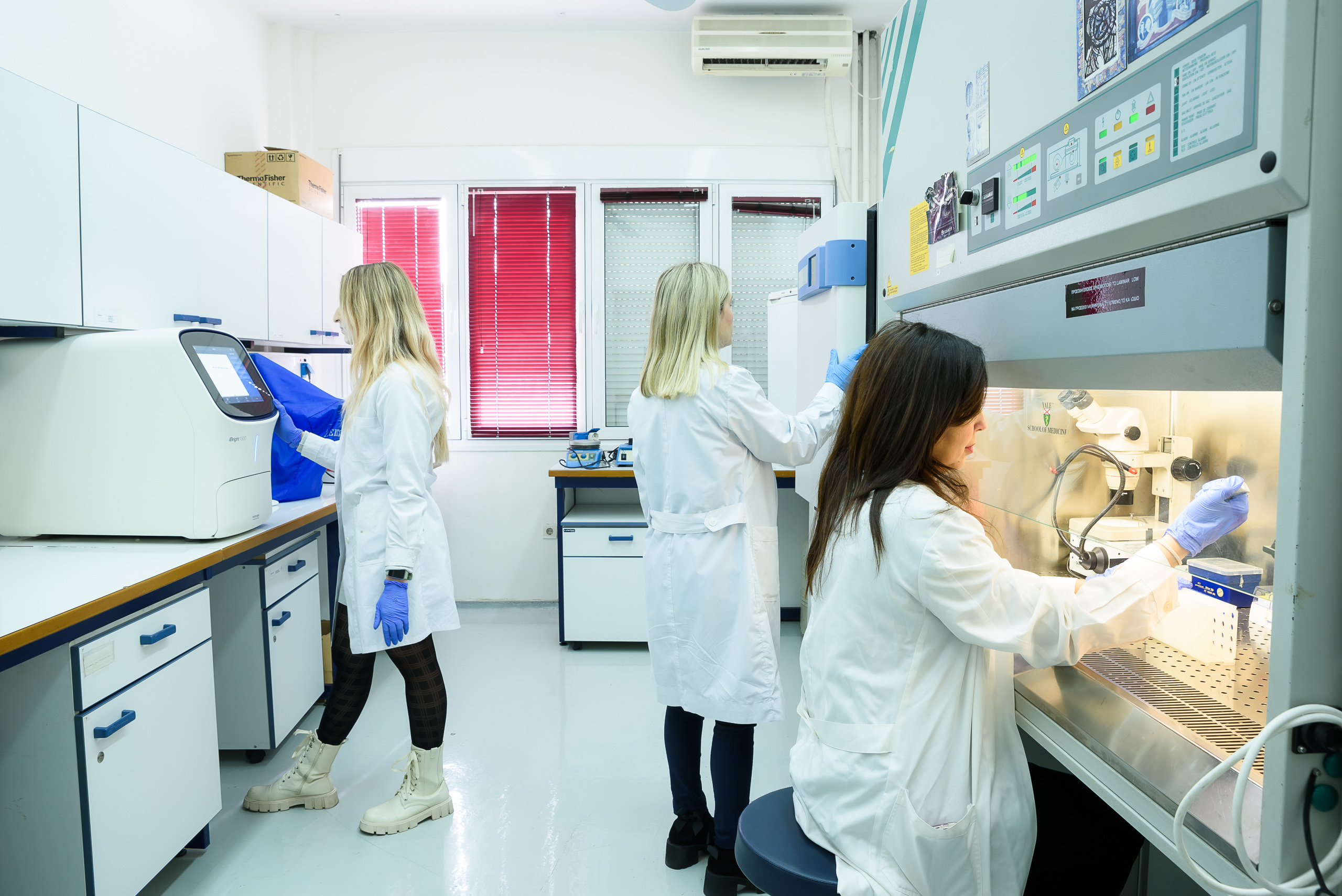 Cell Culture Unit | Laboratory of Experimental Neurology and ...